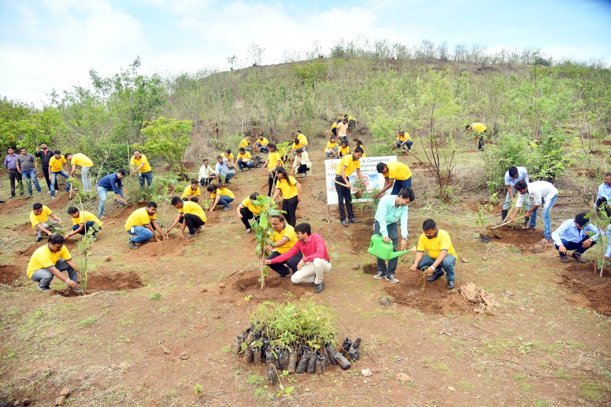 Sula Vineyards plants 5000 saplings under ‘Shramdaan’ activity – Just ...